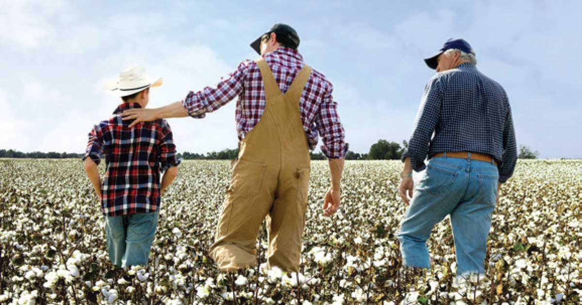 COTTON USA™ and Oritain™ ink new partnership for traceability | Trust ...