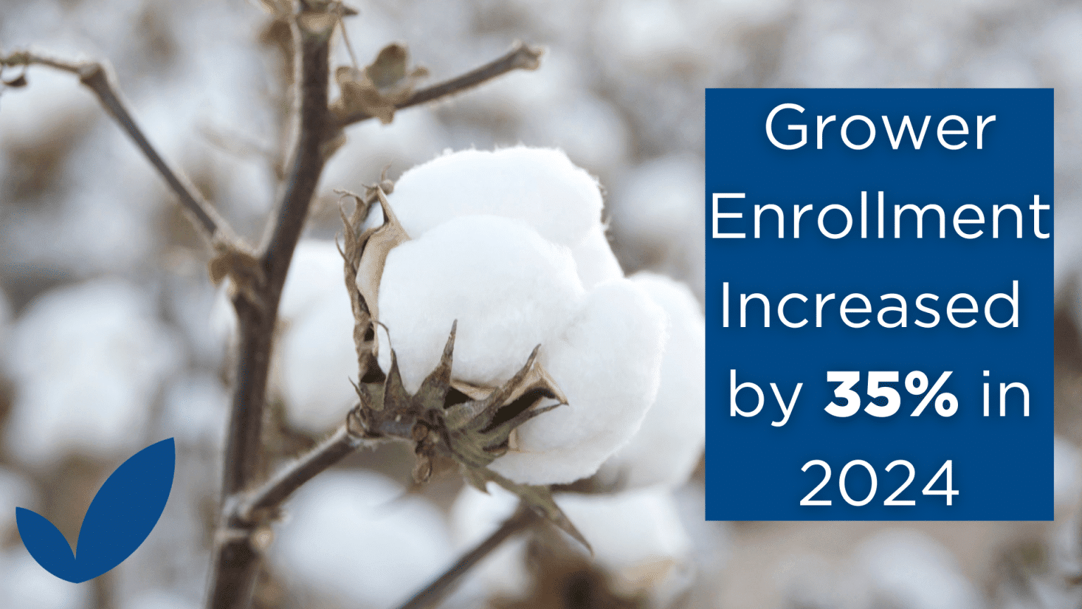 U.S. Cotton Trust Protocol Announces Enhanced Membership Structure ...
